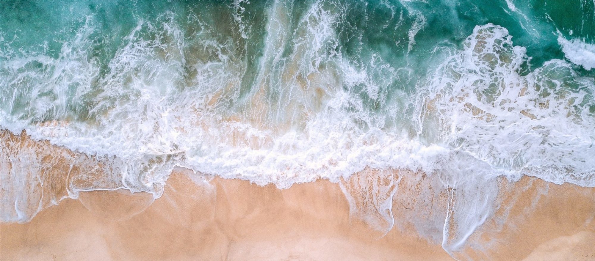 MUSICAL'OCÉAN- informations-billetterie-Festival-2021